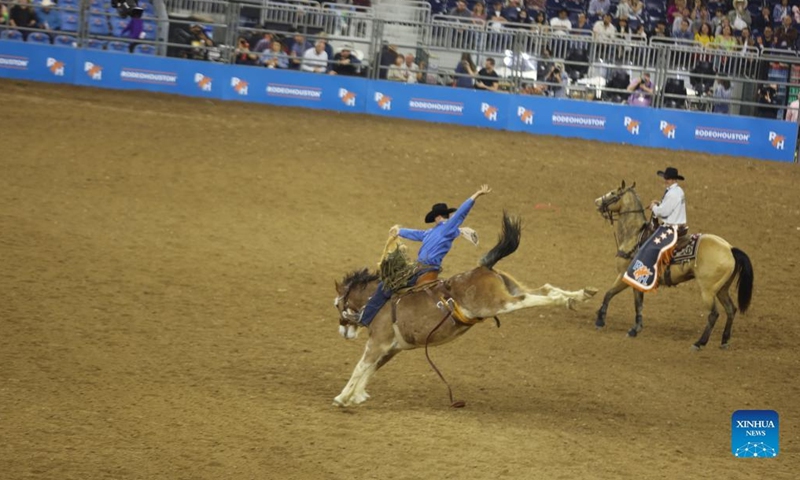 Houston Livestock Show and Rodeo held in Texas, US - Global Times