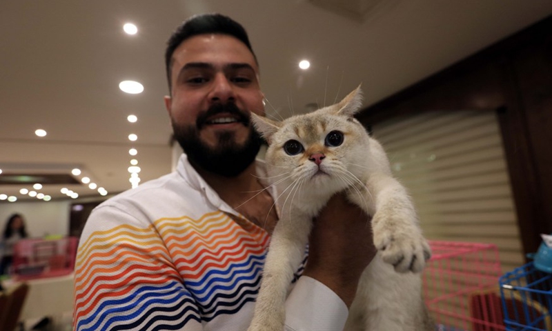 Real catwalk at Jordan's cat beauty contest - Global Times