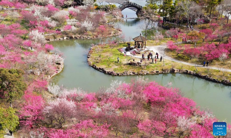 People enjoy springtime across China - Global Times