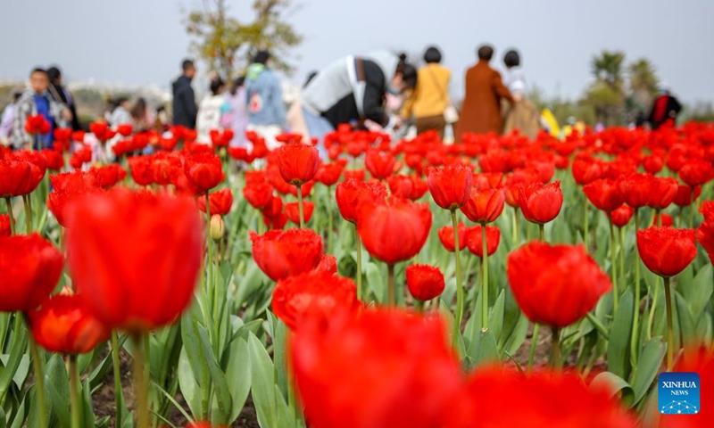 People enjoy springtime across China - Global Times