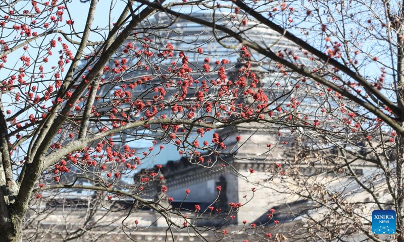 Berlin in early Spring - Global Times