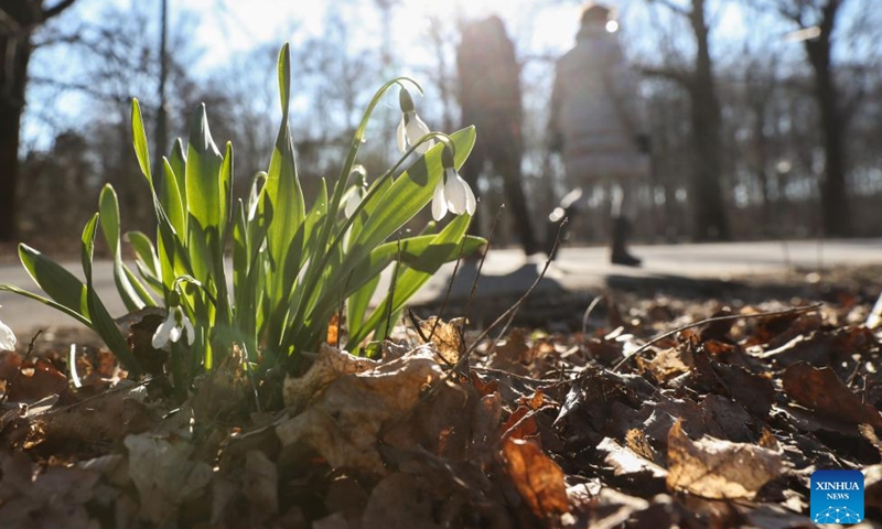 Berlin in early Spring - Global Times