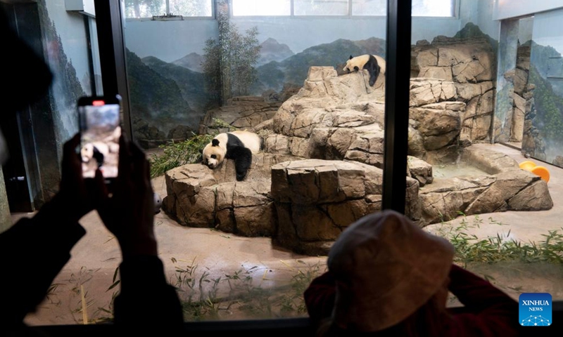 Smithsonian's National Zoo kicks off celebration of giant panda program ...
