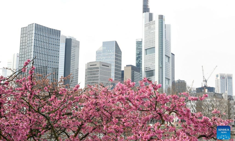 People enjoy spring time in Frankfurt, Germany - Global Times