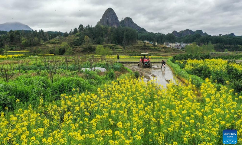 Farms a hive of activity across China - Global Times