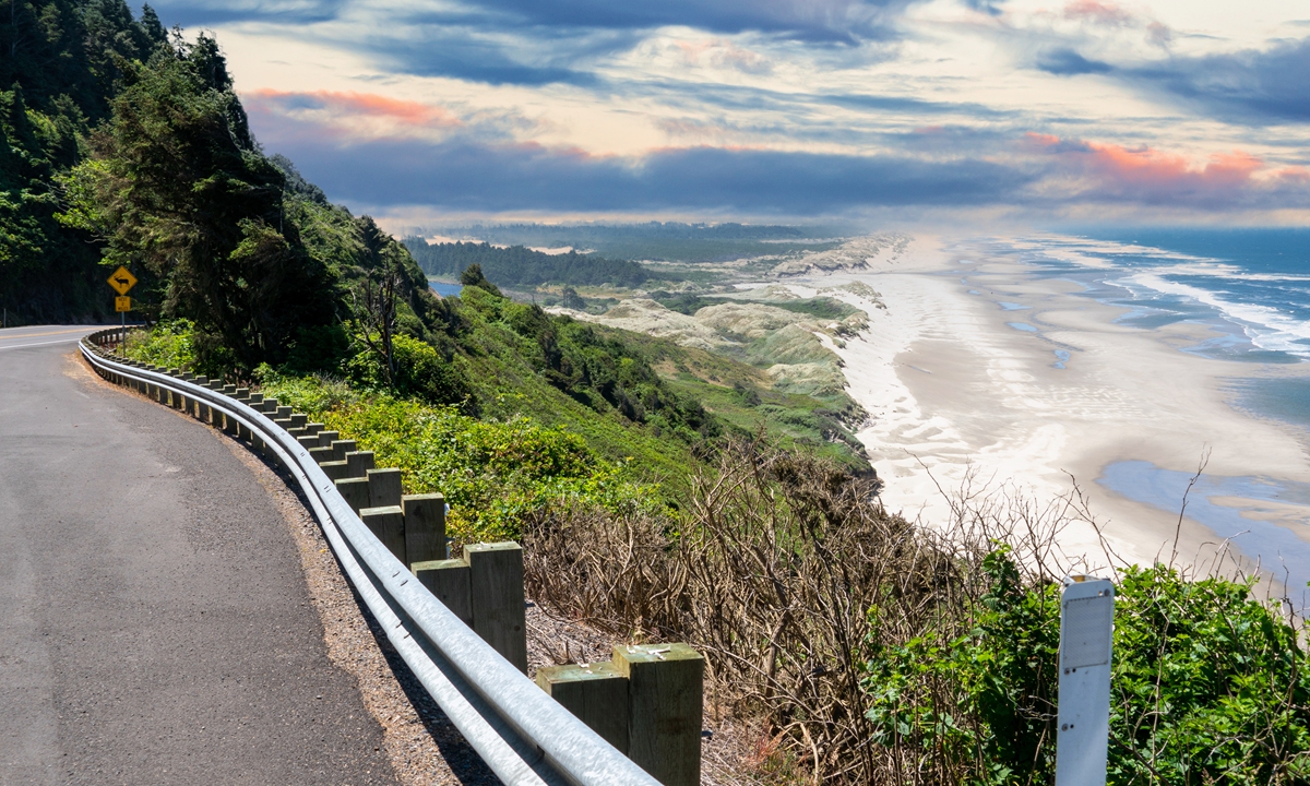 Moo-ve over: Loose cow stops cars on California freeway - Global Times