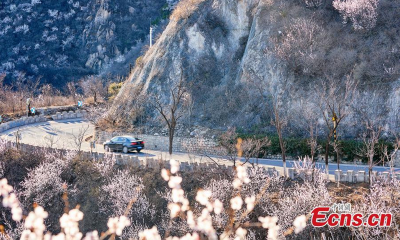'Most beautiful highway' in suburb of Beijing - Global Times
