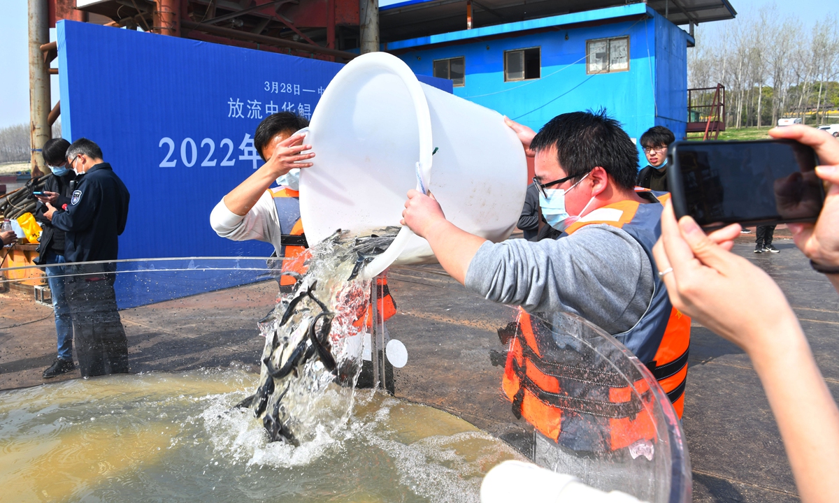Saving sturgeon - Global Times
