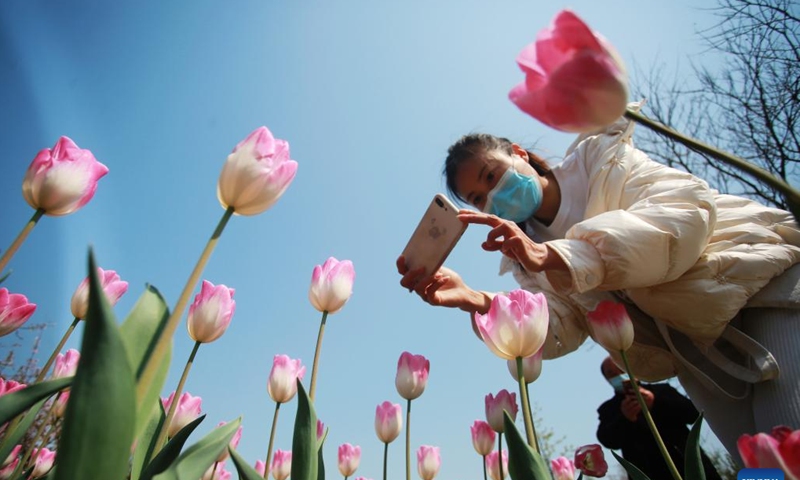 People enjoy spring across China - Global Times