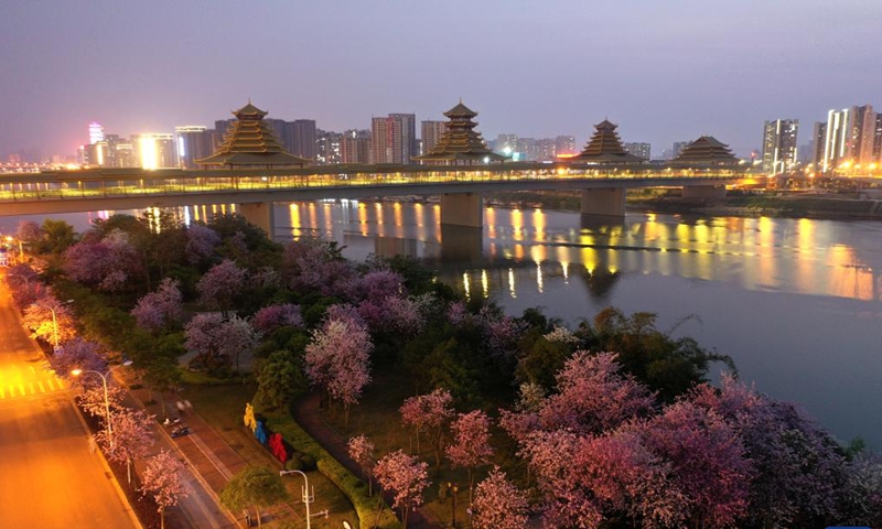 Night view of Liuzhou, S China's Guangxi - Global Times