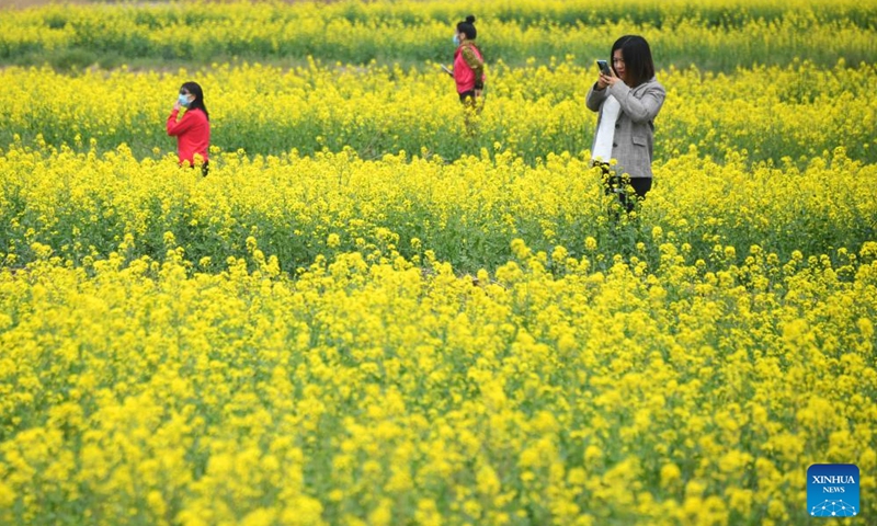 View of spring in Beijing - Global Times