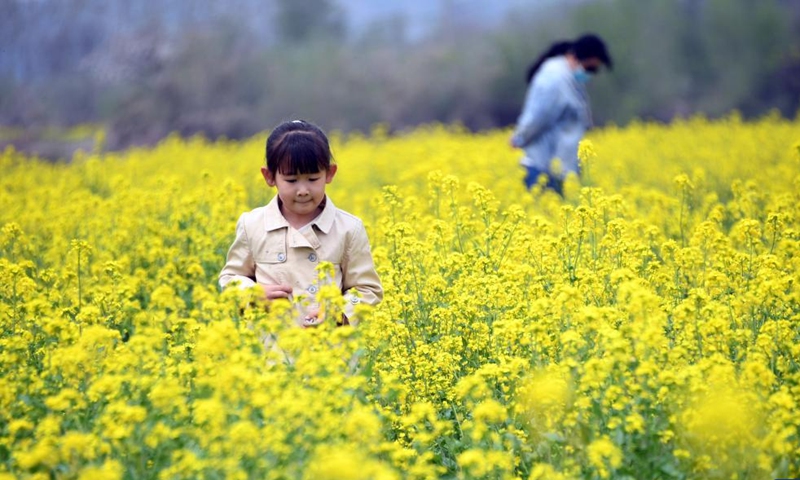 View of spring in Beijing - Global Times
