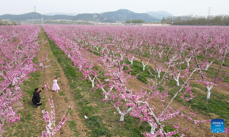 View of spring in Beijing - Global Times