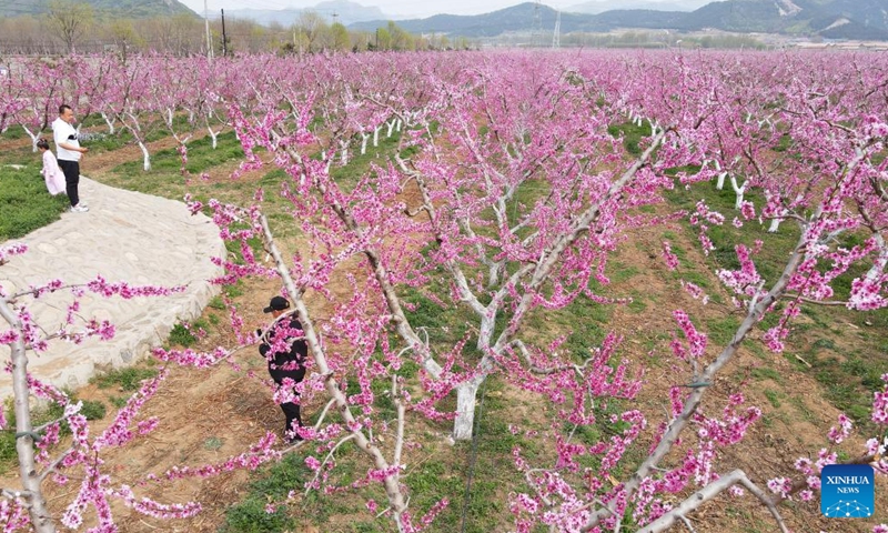 View of spring in Beijing - Global Times