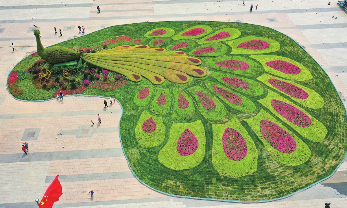 Peacock square - Global Times