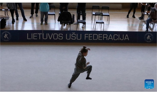 IWUF unveils logo, theme for 2023 World Wushu Championships - Global Times