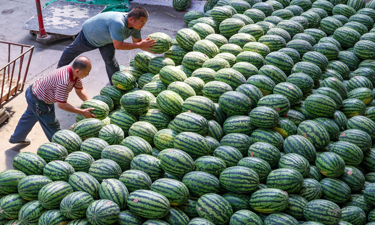 Watermelon sales heat up - Global Times