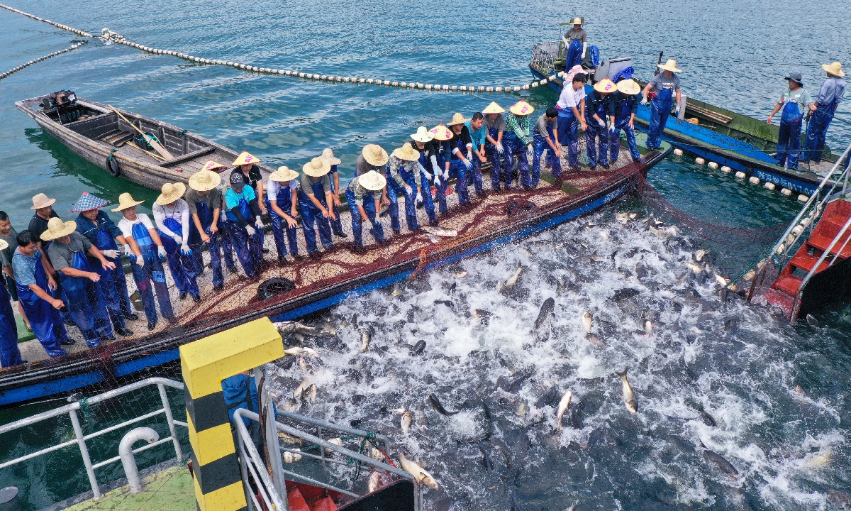 Casting a wide net - Global Times