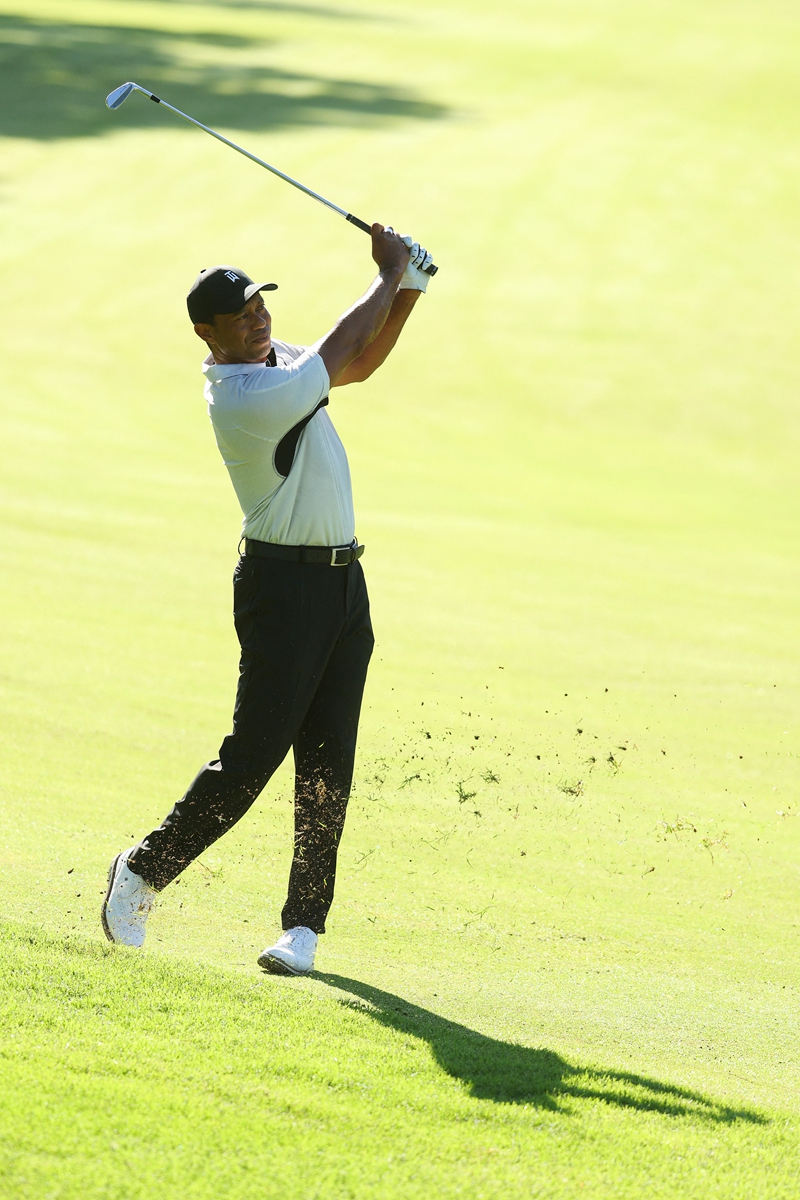 Tiger buzz builds as rivals see threat - Global Times