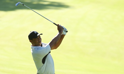 Tiger buzz builds as rivals see threat - Global Times