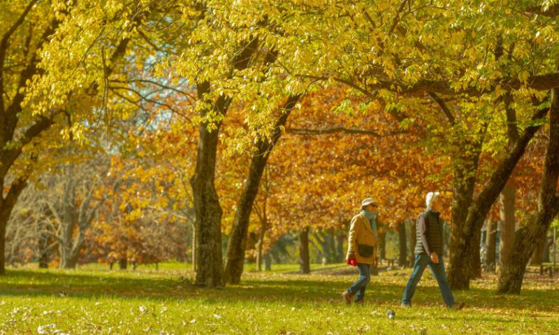 Autumn scenery in Canberra, Australia - Global Times