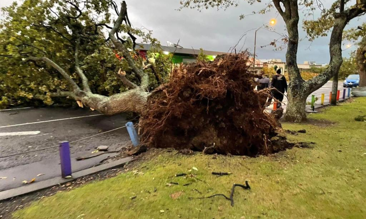 Severe weather hits New Zealand - Global Times