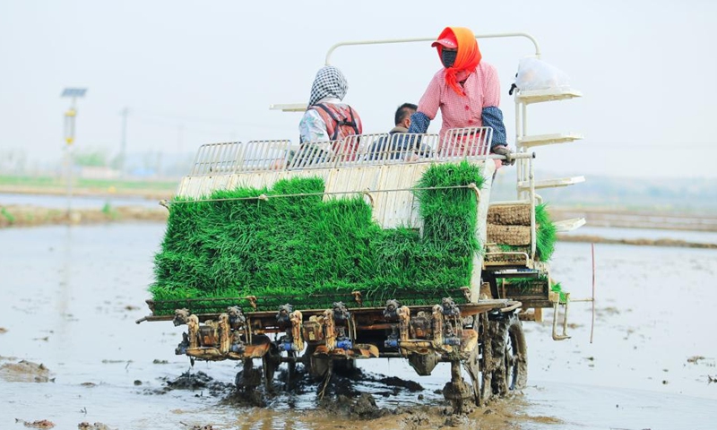 Spring sowing in NE China's Liaoning - Global Times