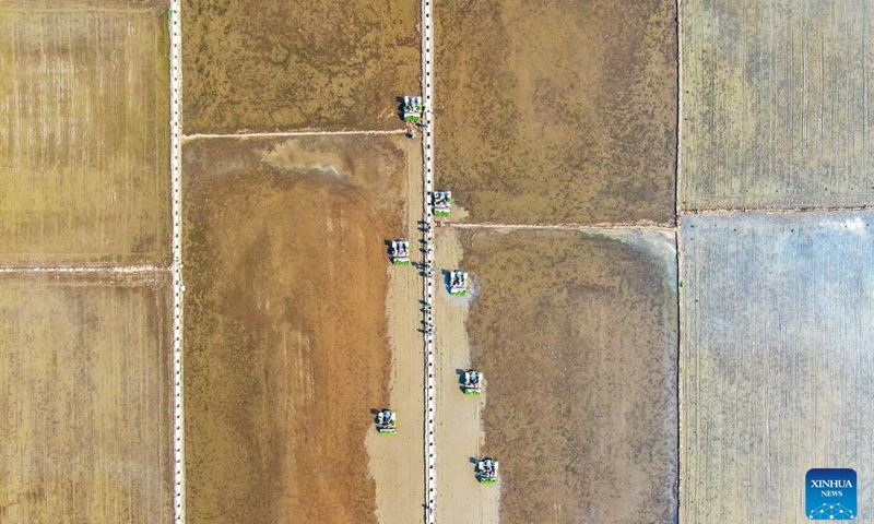 Spring sowing in NE China's Liaoning - Global Times