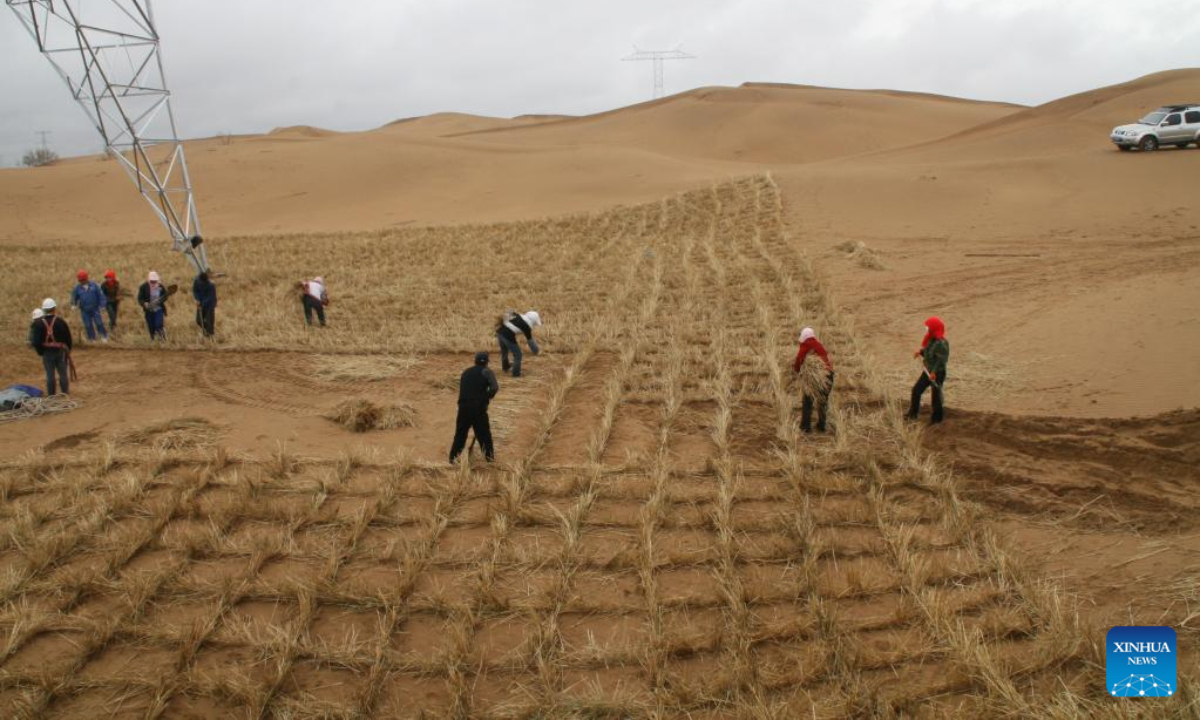 Grass grids safeguard power transmission in NW China desert - Global Times
