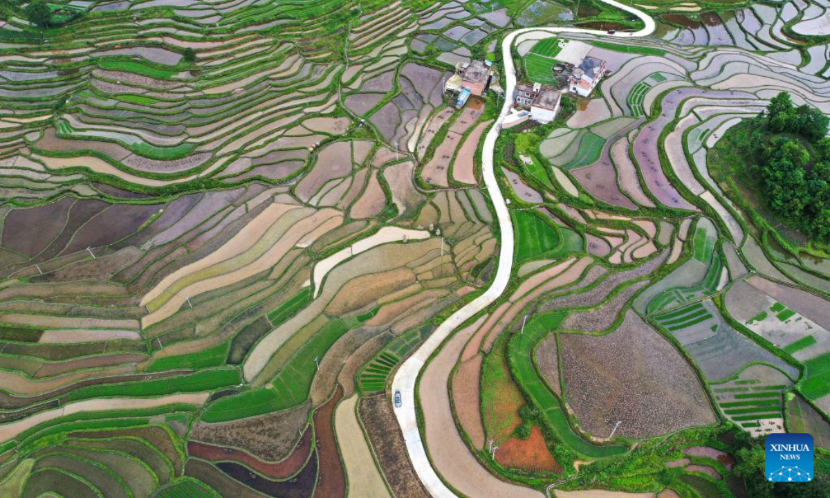 View of Lali terrace in Guizhou, SW China - Global Times