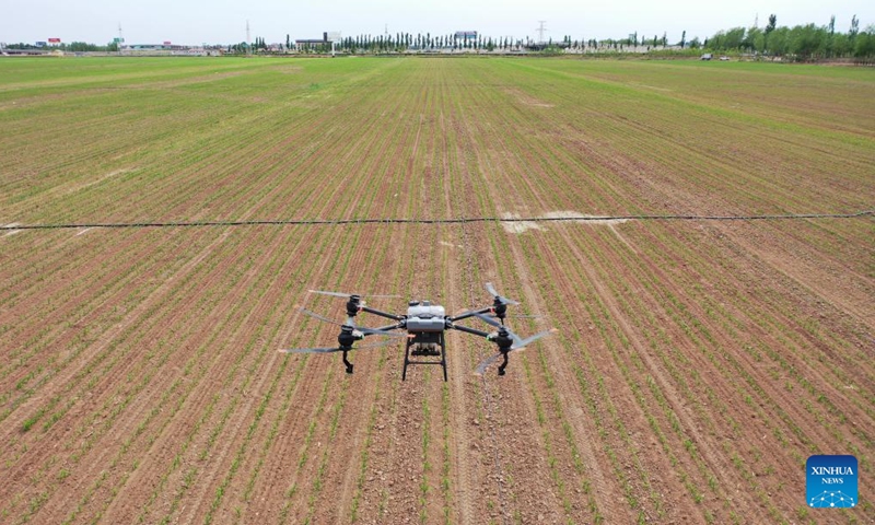 Unmanned farming in Ningxia, NW China - Global Times