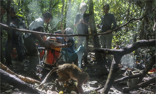 Back to the wild - Global Times