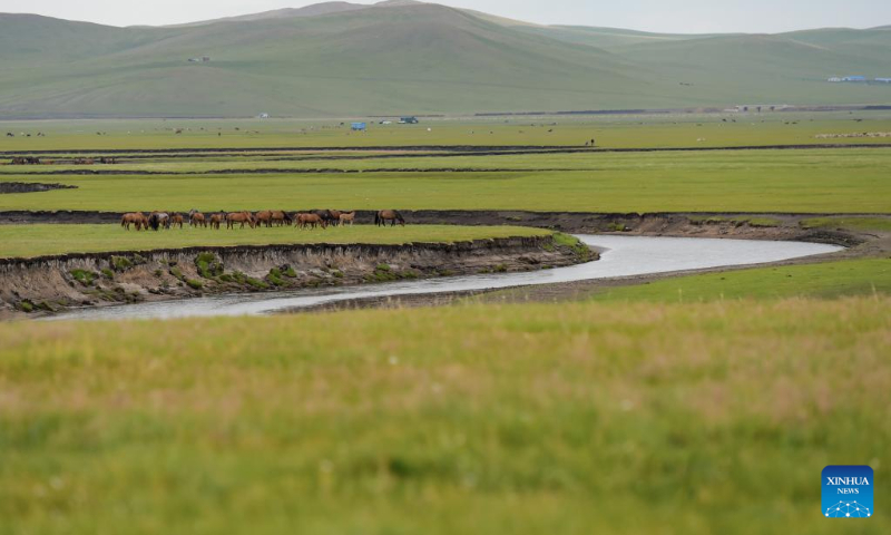 Scenery along Mergel Gol River in Hulun Buir, Inner Mongolia - Global Times