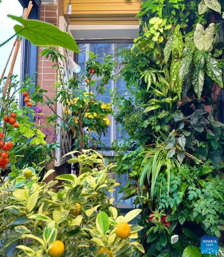 Balcony gardening creates idyllic life for urban youth - Global Times