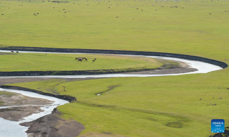 Scenery along Mergel Gol River in Hulun Buir, Inner Mongolia - Global Times