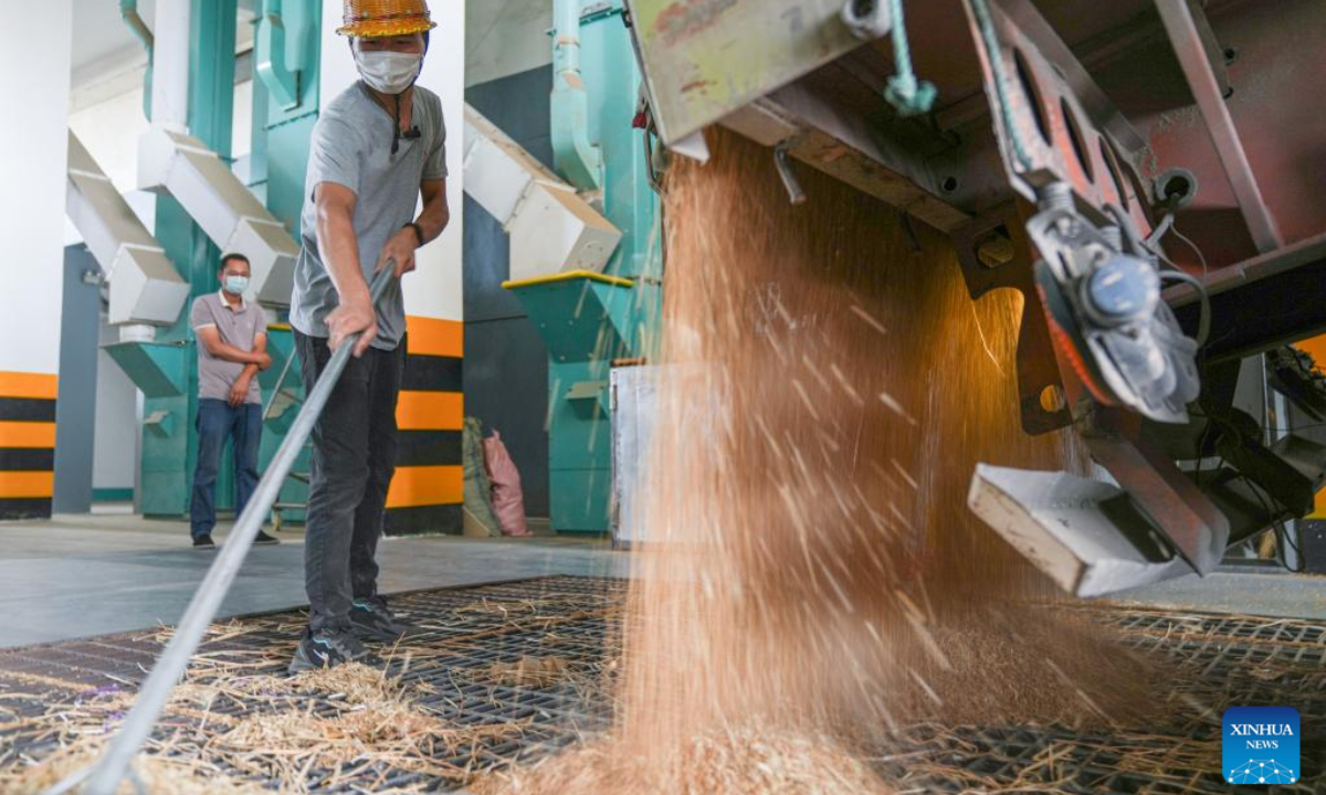 Wheat processing factory in east China's Anhui - Global Times