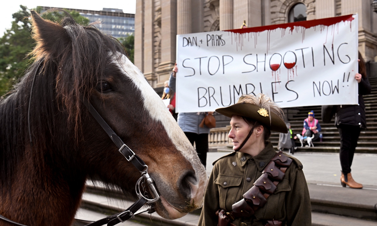 Save our Brumbies! - Global Times
