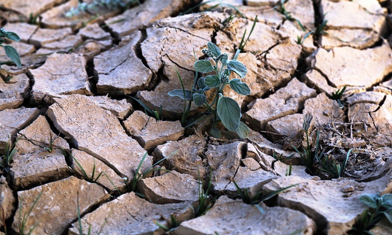 Iraqi farmers face intensifying water crisis amid climate change ...