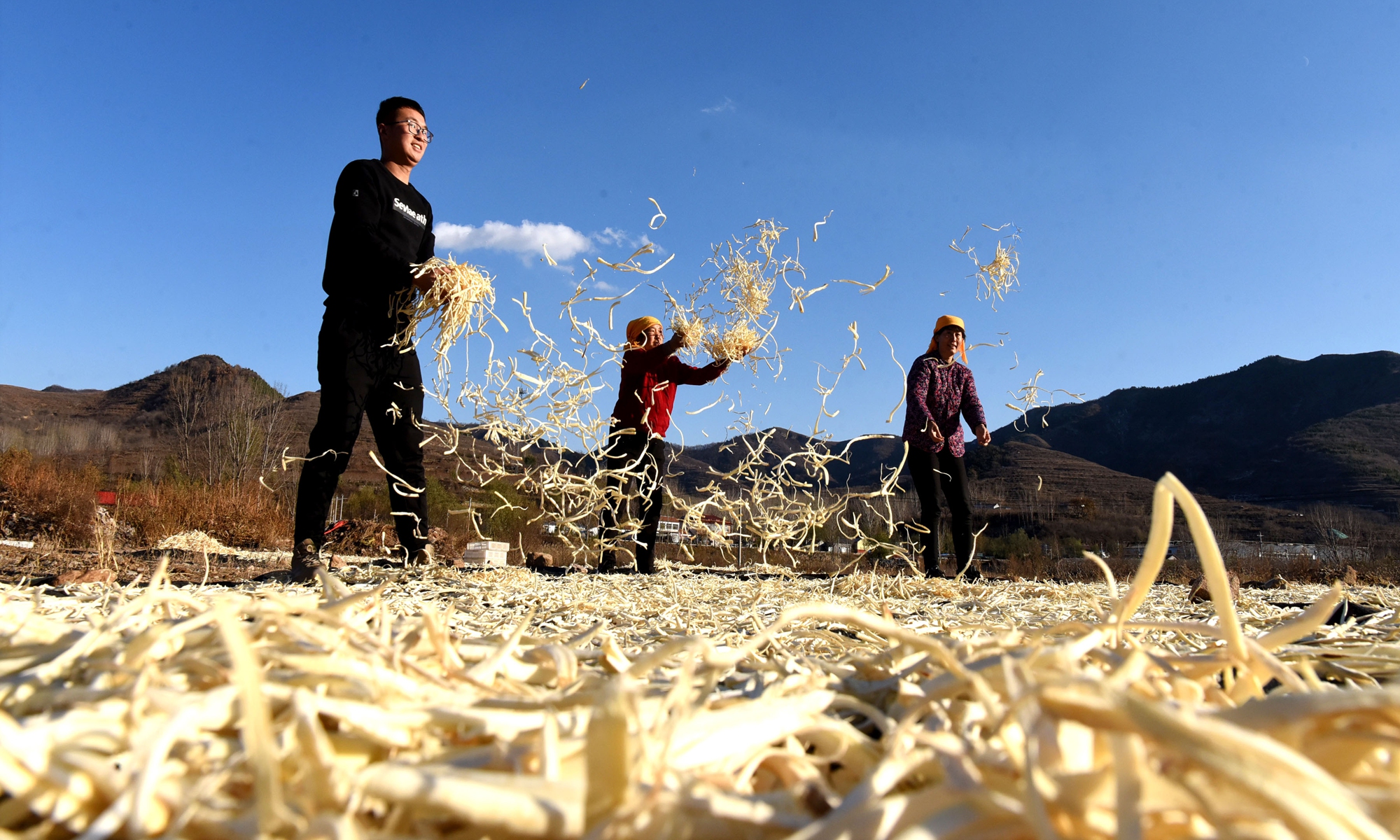 More young people in China are seeking a career in rural areas and ...