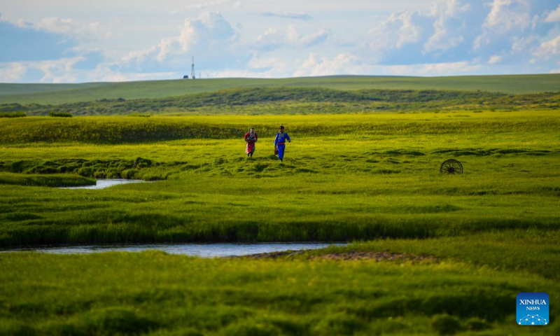 Scenery of grassland in N China's Inner Mongolia - Global Times