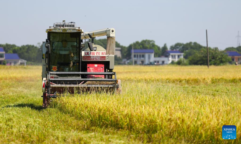 Farmers busy with rice harvest in C China's Hunan - Global Times