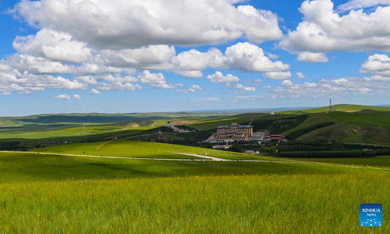 Scenery of grassland in N China's Inner Mongolia - Global Times