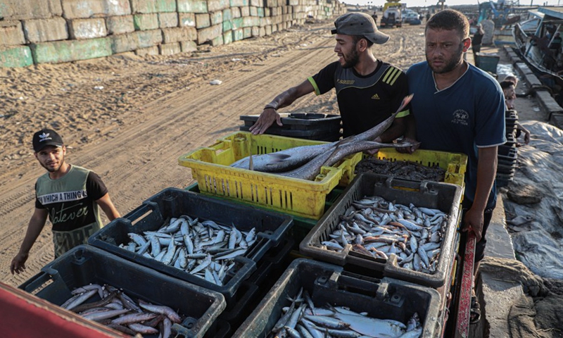 Palestinian fishermen go fishing to keep afloat - Global Times