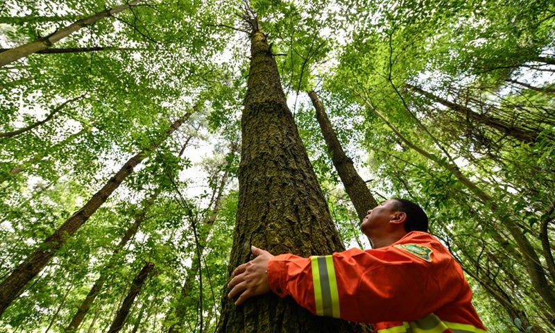 China sees rising vegetation coverage from 2000 to 2021: blue paper ...