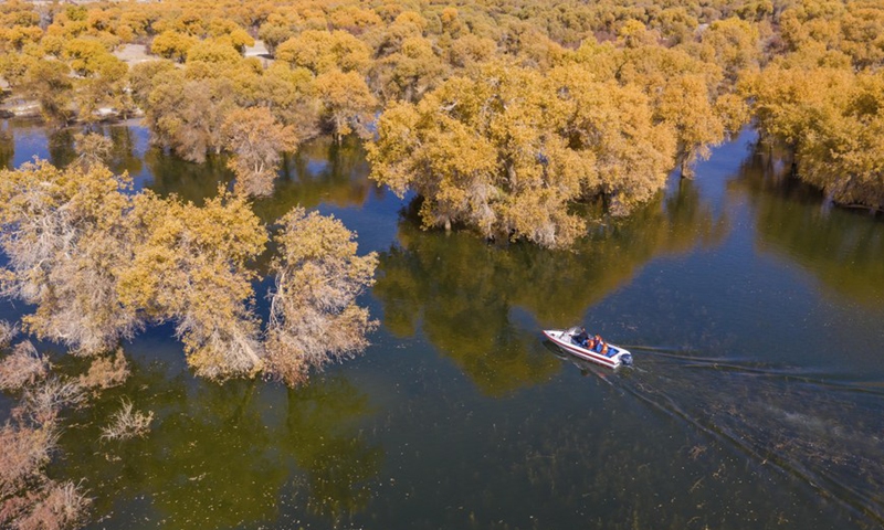 China sees rising vegetation coverage from 2000 to 2021: blue paper ...