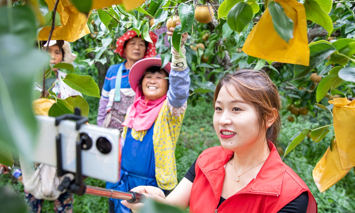 Selling fresh pears online - Global Times