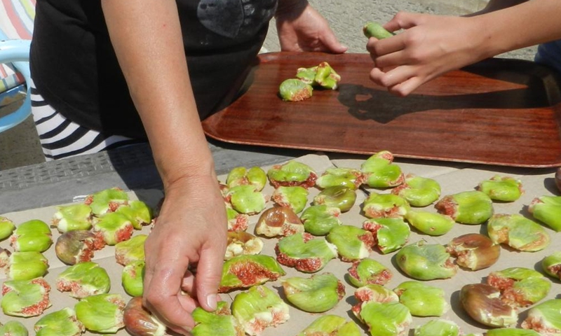 Farmers harvest figs in southern Lebanon - Global Times