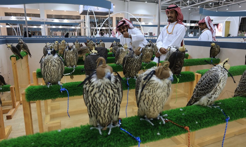 Falcon enthusiasts flock to major exhibition in Riyadh - Global Times