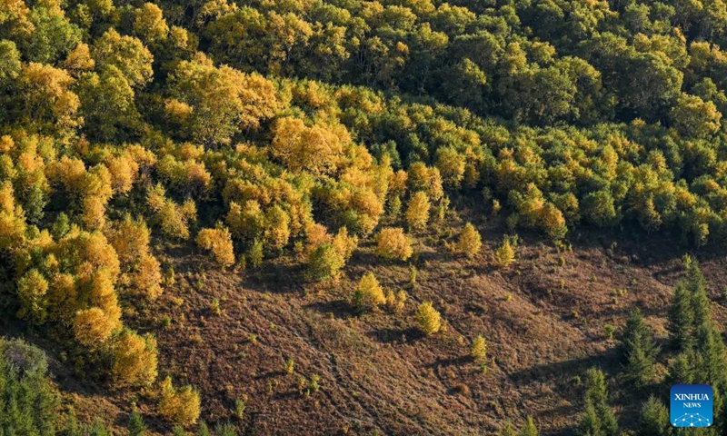Autumn scenery of Daqing Mountain in Hohhot, north China's Inner ...