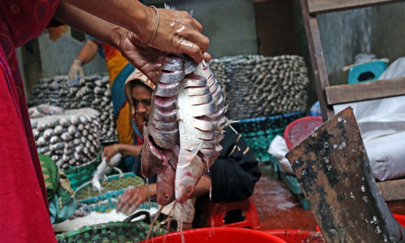 Bangladesh's national fish Hilsa in Chattogram - Global Times